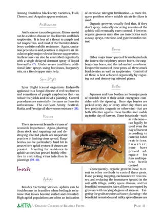 Organic Culture of Bramble Fruits | PDF
