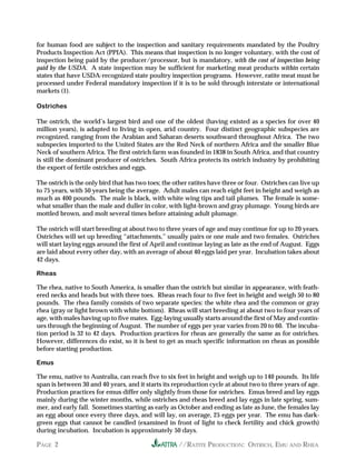 Ratite Production: Ostrich, Emu & Rhea | PDF