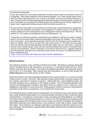 Ratite Production: Ostrich, Emu & Rhea | PDF
