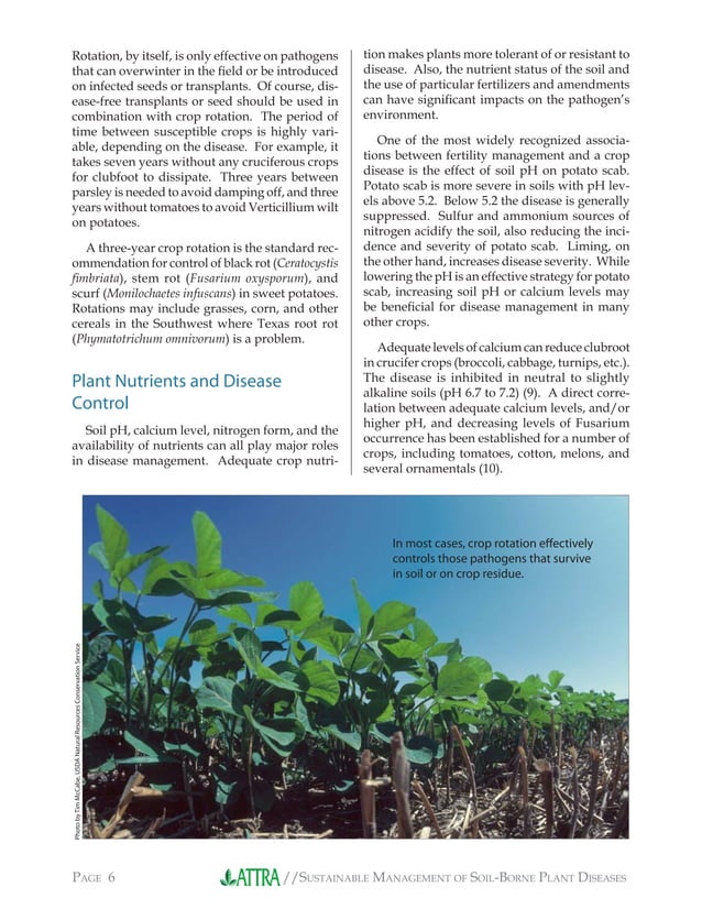 Sustainable Management of Soil-borne Plant Diseases | PDF