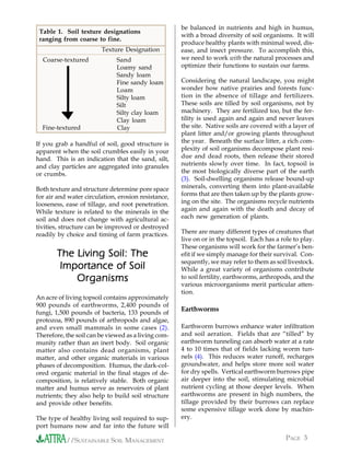 Sustainable Soil Management | PDF