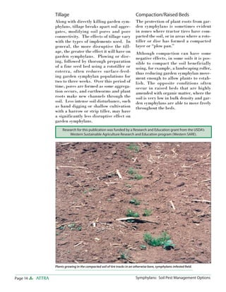 Symphylans: Soil Pest Management Options | PDF