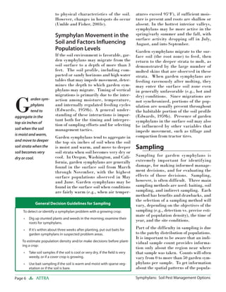 Symphylans: Soil Pest Management Options | PDF