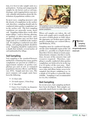 Symphylans: Soil Pest Management Options | PDF