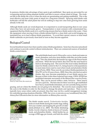 Thistle Control Alternatives | PDF