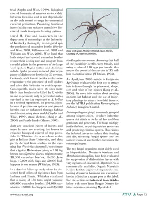 Cucumber Beetles: Organic and Biorational Integrated Pest Management | PDF