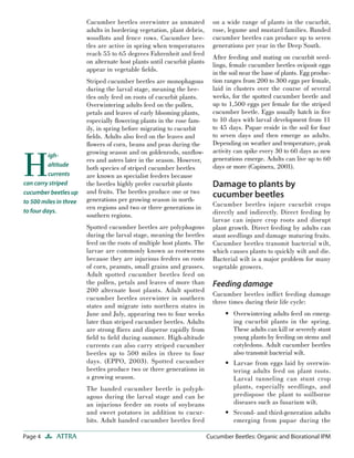 Cucumber Beetles: Organic and Biorational Integrated Pest Management | PDF