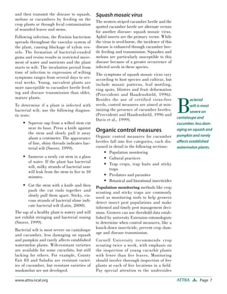 Cucumber Beetles: Organic and Biorational Integrated Pest Management | PDF