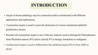 Dealing with ATYPIA and papillary lesions in IN BREAST | PPTX