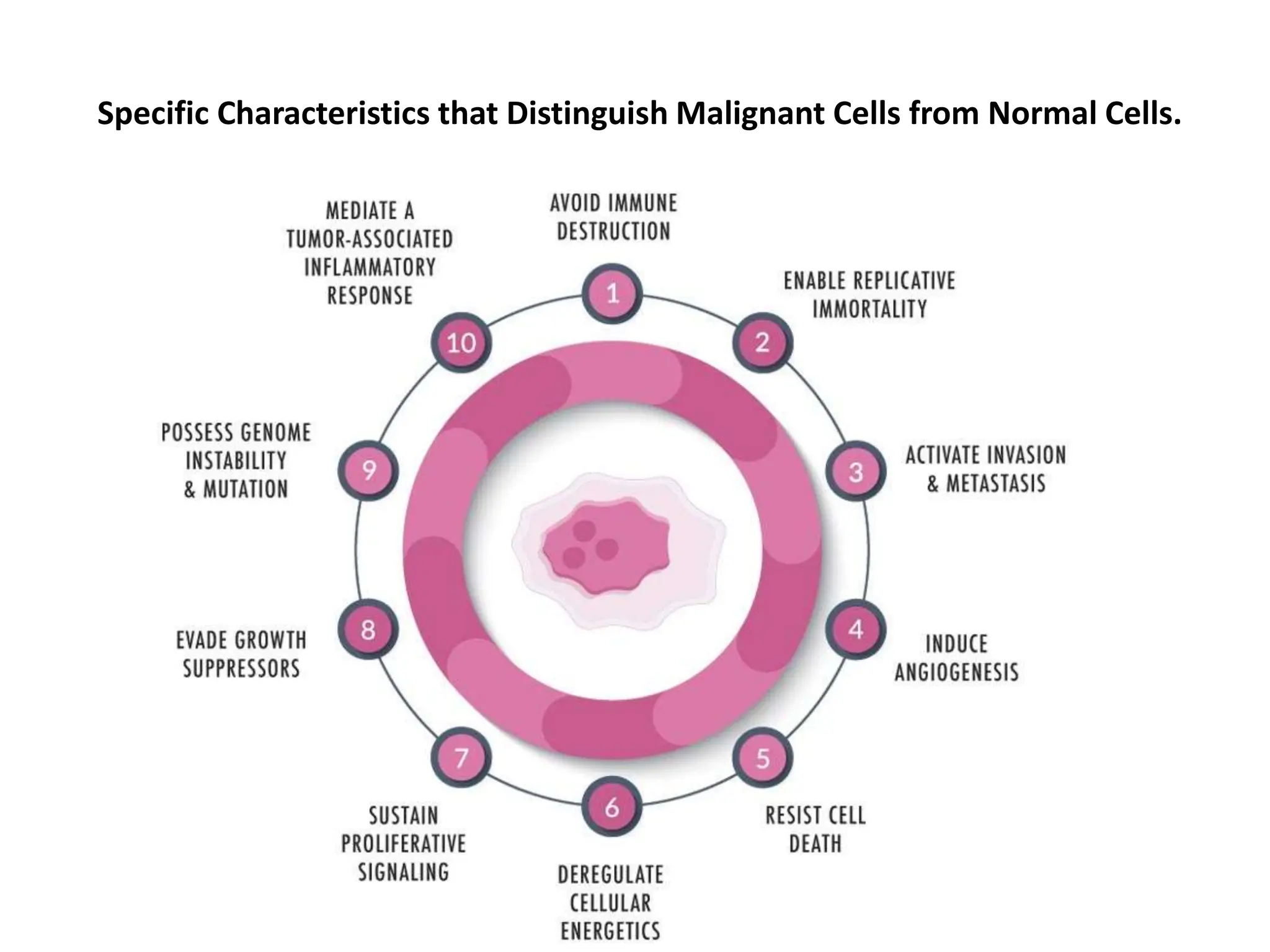 a typical and malignant cells.power point | PPTX