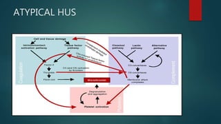 Atypical Hemolytic Uremic Syndrome | PPTX