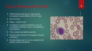 Atypical lymphocytes | PPT