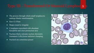 What Are Atypical Lymphocytes