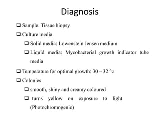 Atypical mycobacteria | PPTX