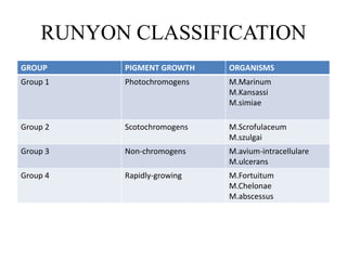 Atypical mycobacteria | PPTX