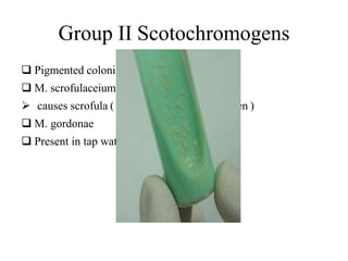 Atypical mycobacteria | PPTX