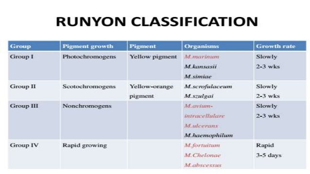 Atypical mycobacterial infections in dermatology