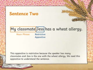 au-l-2549134-understanding-appositives-powerpoint_ver_1.pptx