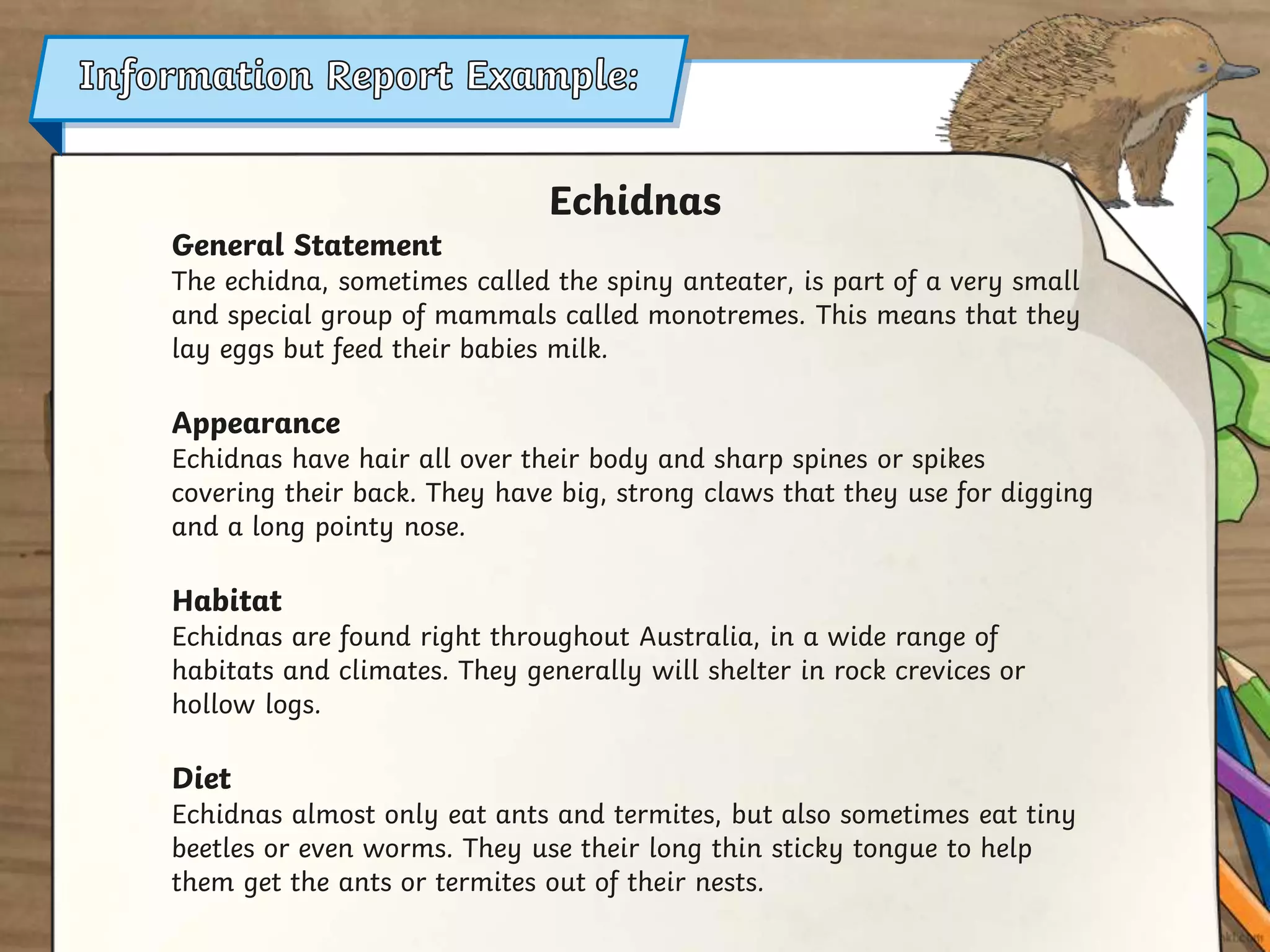 au-l-2549309-information-report-writing-powerpoint_ver_1.pptx ...