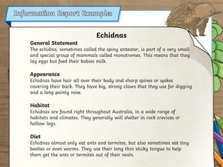 au-l-2549309-information-report-writing-powerpoint_ver_1.pptx