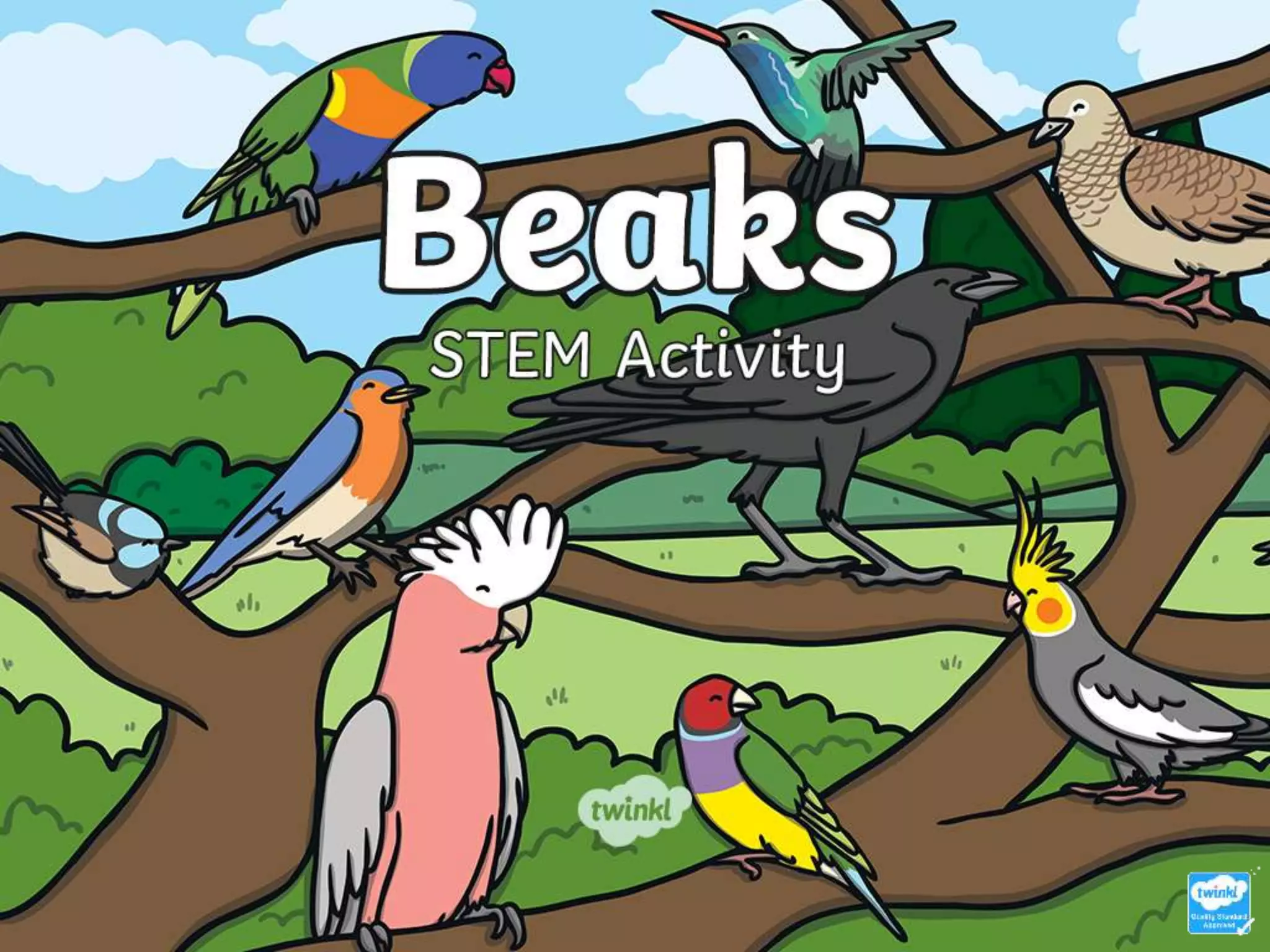 au-sc-2161-bird-beak-adaptation-powerpoint-english_ver_1.ppt