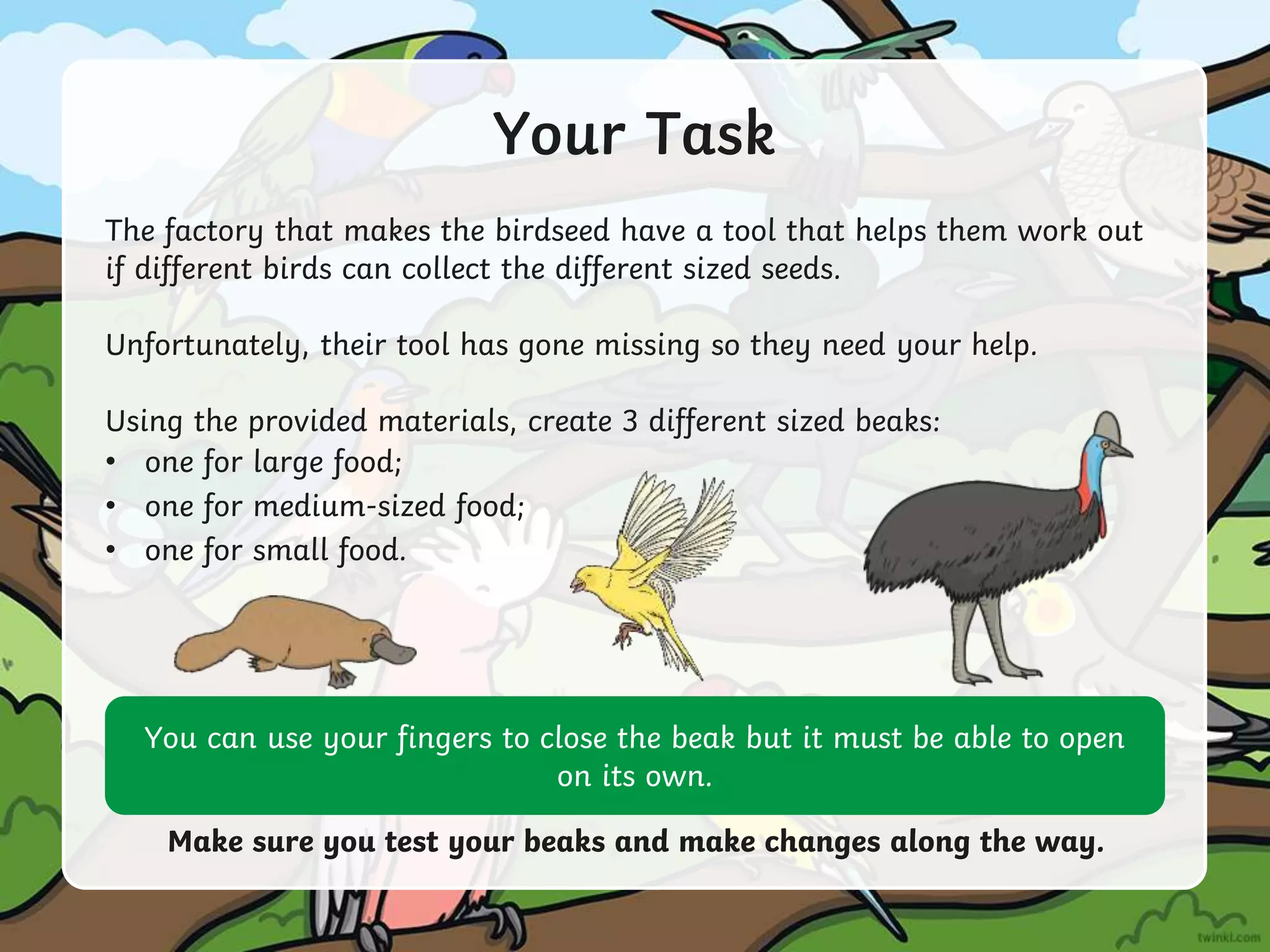 au-sc-2161-bird-beak-adaptation-powerpoint-english_ver_1.ppt