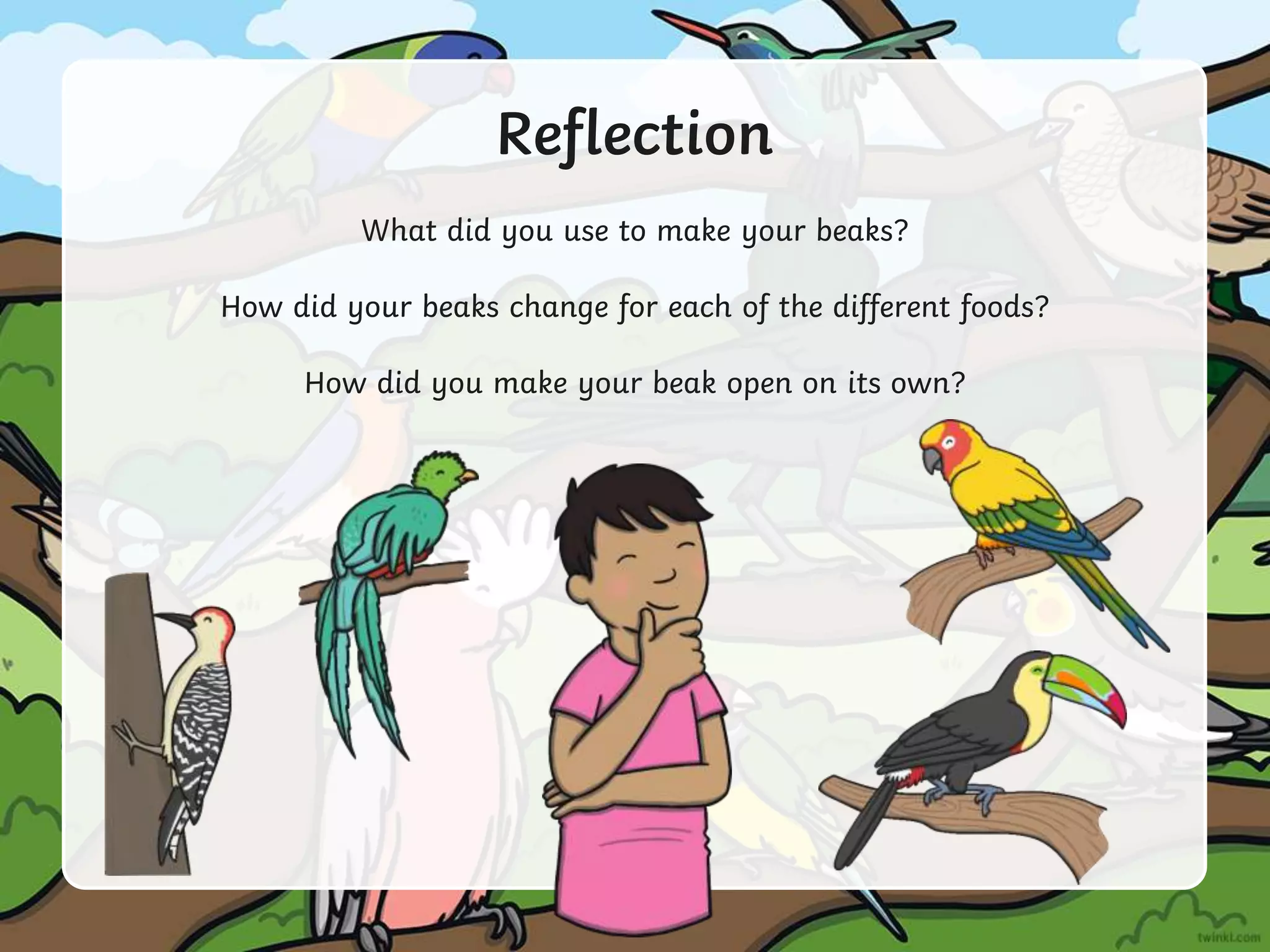 au-sc-2161-bird-beak-adaptation-powerpoint-english_ver_1.ppt