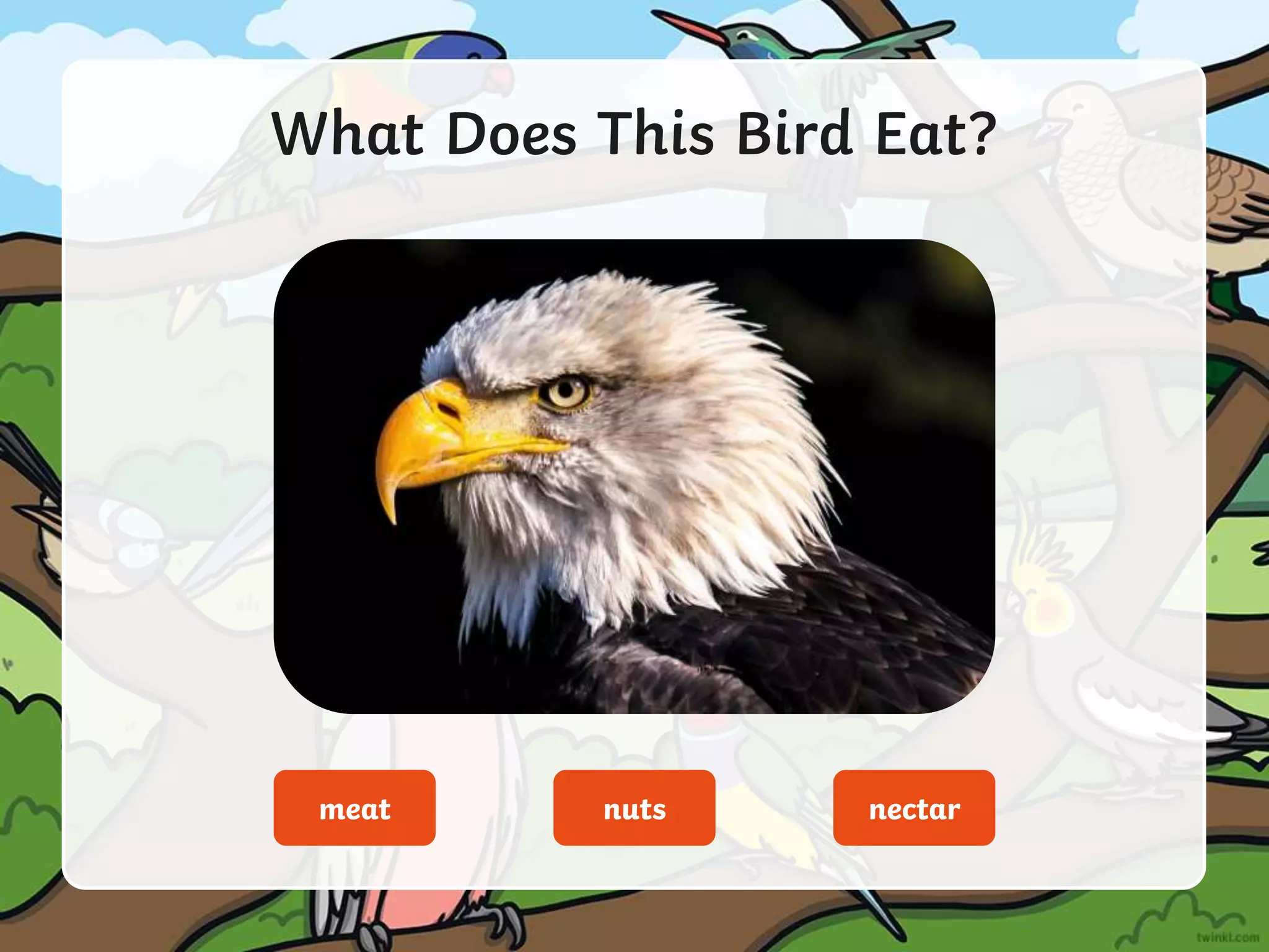 au-sc-2161-bird-beak-adaptation-powerpoint-english_ver_1.ppt