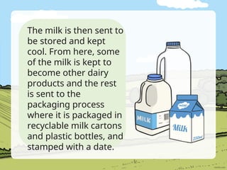 au-t-253156-where-does-milk-come-from-powerpoint_ver_1.ppt