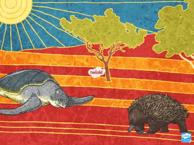 au-t2-e-41260-aboriginal-dreaming-how-the-turtle-got-its-shell ...