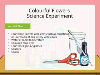 au-t2-s-1354-colourful-flowers-science-experiment-powerpoint-english ...