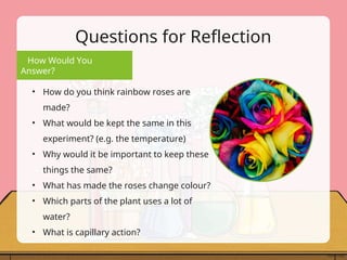 au-t2-s-1354-colourful-flowers-science-experiment-powerpoint-english ...