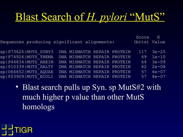 Evolutionary Genome Scanning - talk by J. Eisen in 2000 at MBL ...