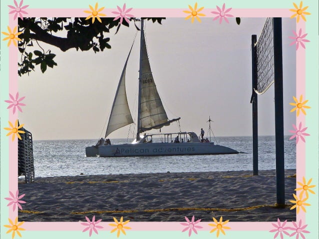 Aruba 2004 - 2007 | PDF