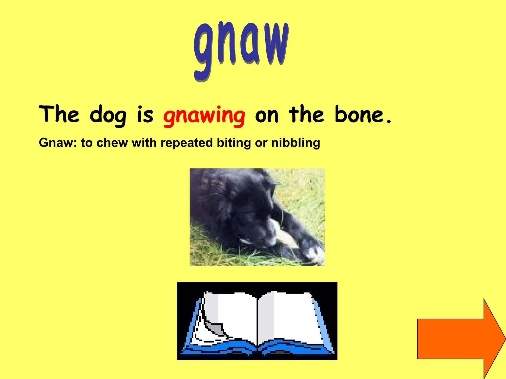 Vowel Digraphs (au, aw) | PPT