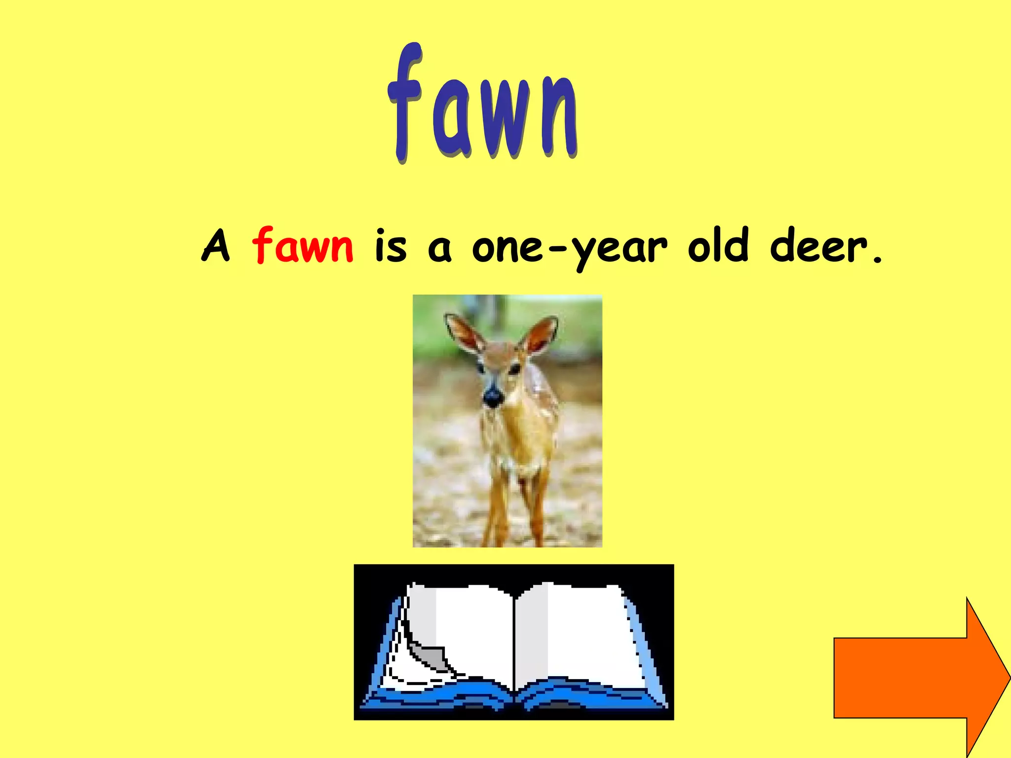 Vowel Digraphs (au, aw) | PPT