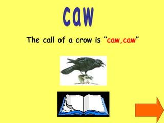 Vowel Digraphs (au, aw) | PPT