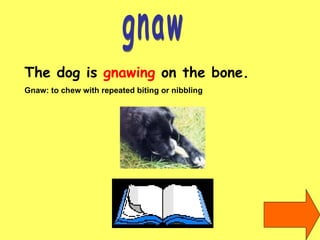Vowel Digraphs (au, aw) | PPT