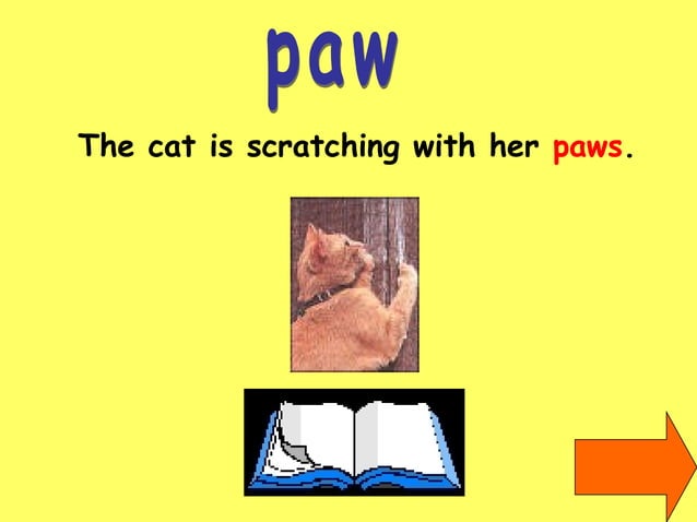 Vowel Digraphs (au, aw) | PPT | Cats | Pets