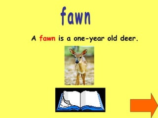Vowel Digraphs (au, aw) | PPT