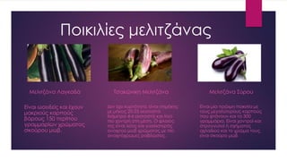 Μελιτζάνα | PPT
