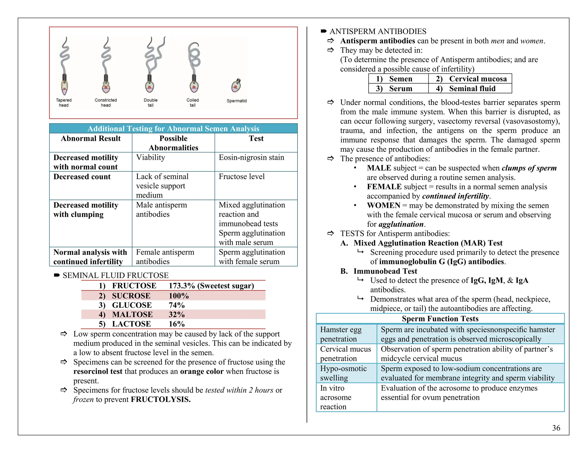 analysis of urine and other body fluids transes | PDF