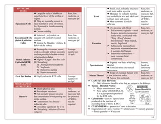 analysis of urine and other body fluids transes | PDF