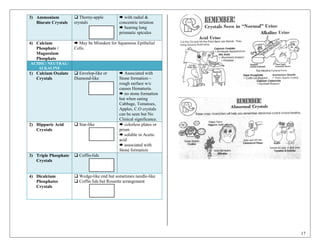 analysis of urine and other body fluids transes | PDF