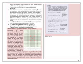 analysis of urine and other body fluids transes | PDF