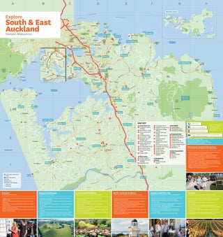 Auckland sudeste | PDF