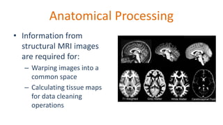 Introduction to resting state fMRI preprocessing and analysis | PPTX