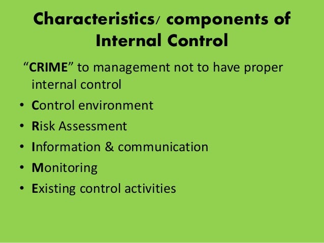 Brief overview on Internal control (Audit)