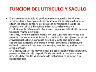 Audicion | PPTX