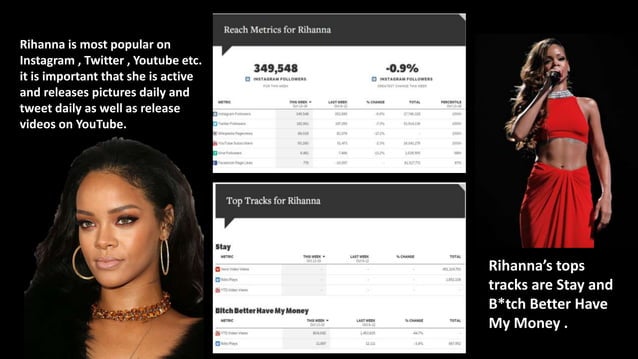 Audience Demographics - Rihanna | PPTX | Celebrity Relationships | Pop Culture